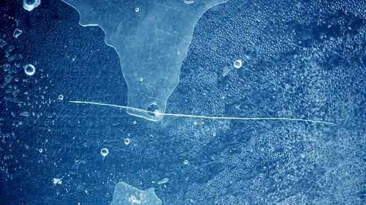 Lean About Coolant Composition - Coolant University